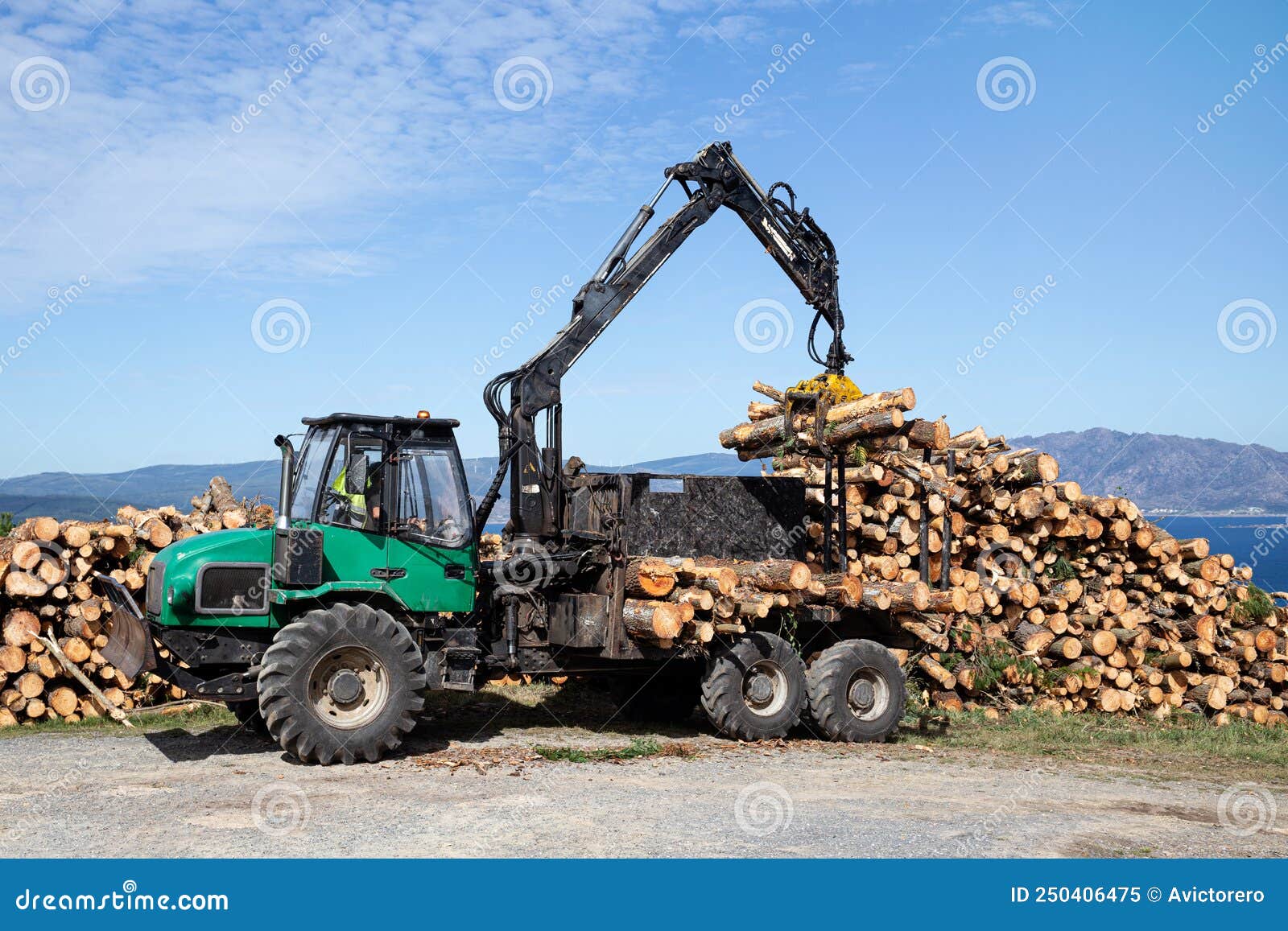 Forest Log Truck Tree Harvester Unloading Tree Logs Stock Image - Image ...