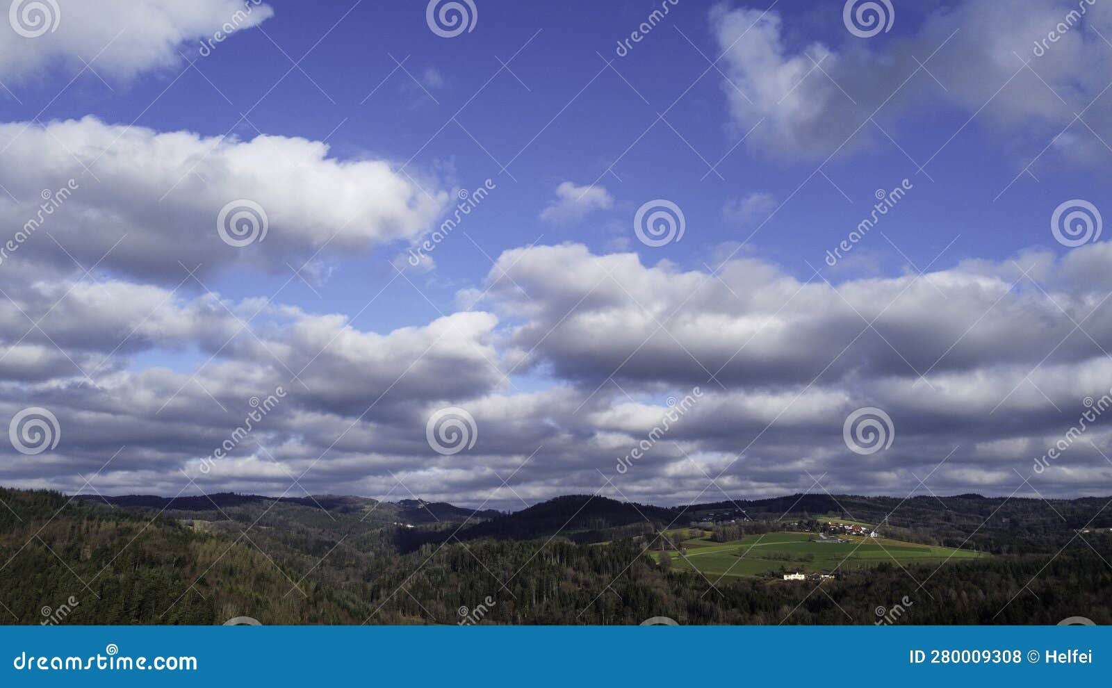 Forest in Lush Green with Healthy Conifers Stock Photo - Image of ...