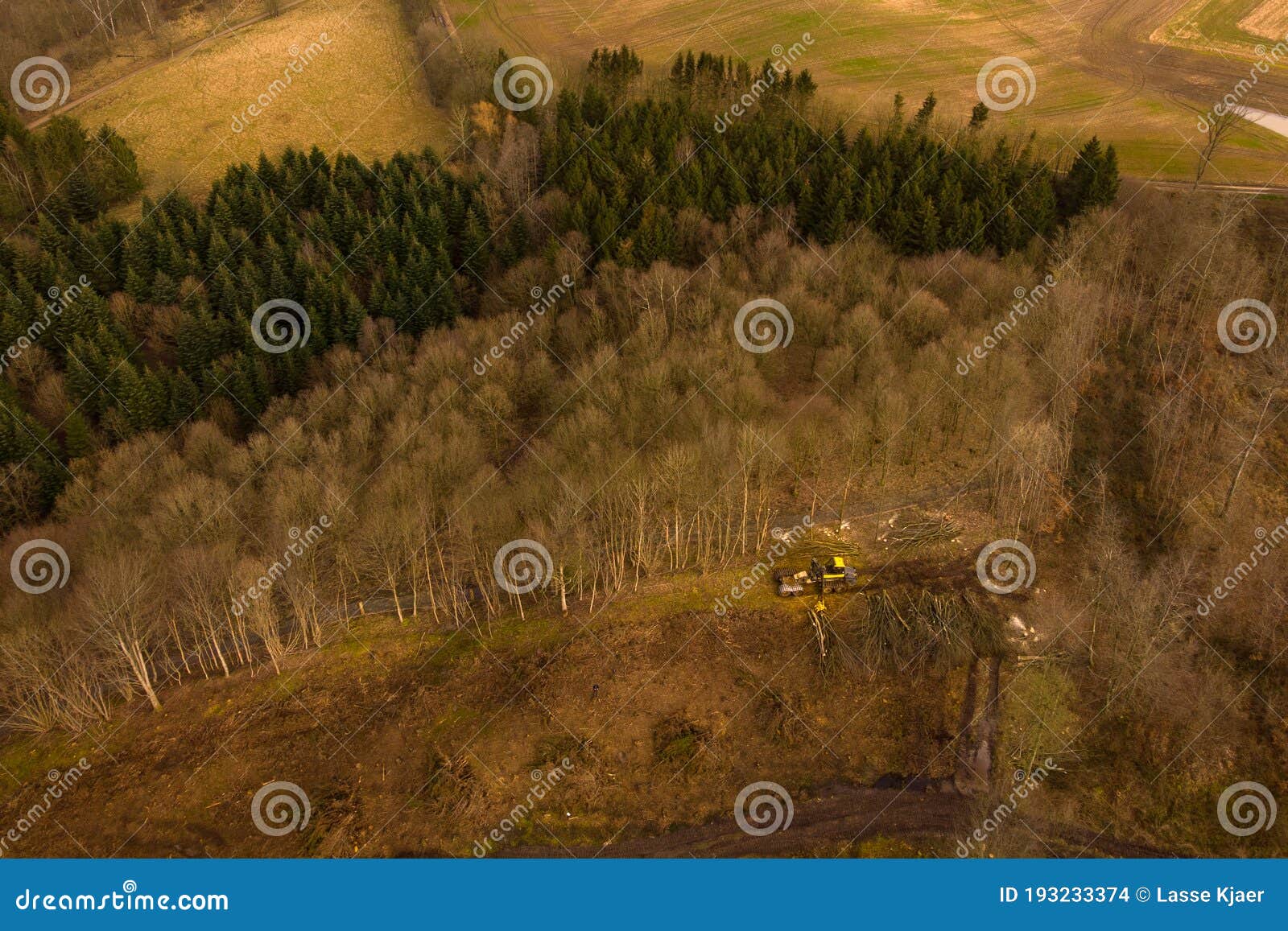 Forest Machine Cutting Trees Stock Photo - Image of drone, forest ...