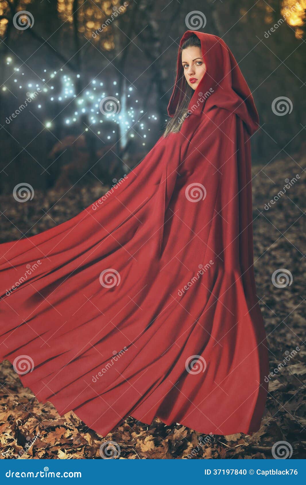Forest magic stock photo. Image of cloak, fashion, forest - 37197840