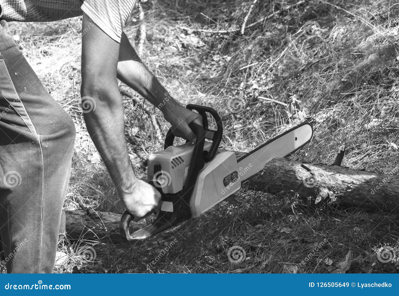 Man Sawing a Tree with a Chainsaw. Black and White Image Stock Image ...