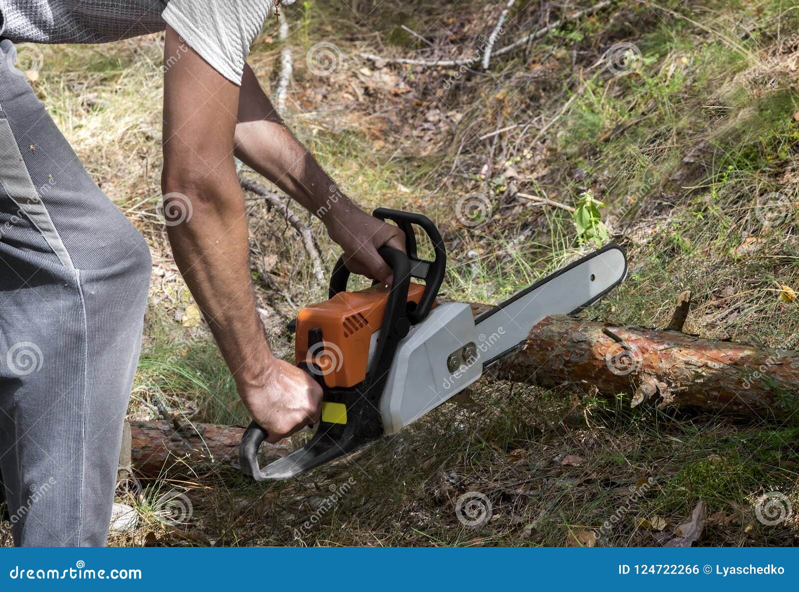 A Man Sawing a Tree with a Chainsaw in the Woods. Stock Photo - Image ...
