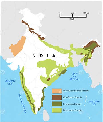 Forest Map of India. India Map Vector Illustration Stock Vector ...