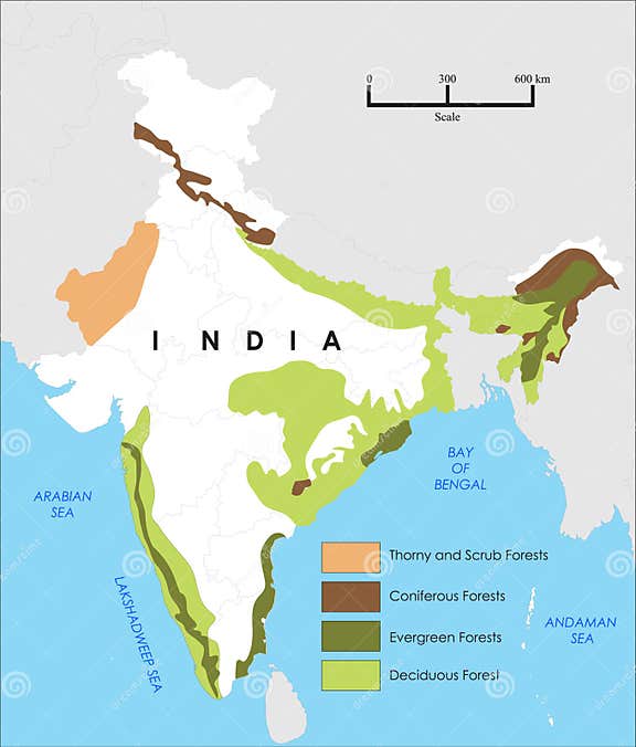 Forest Map of India. India Map Vector Illustration Stock Vector ...