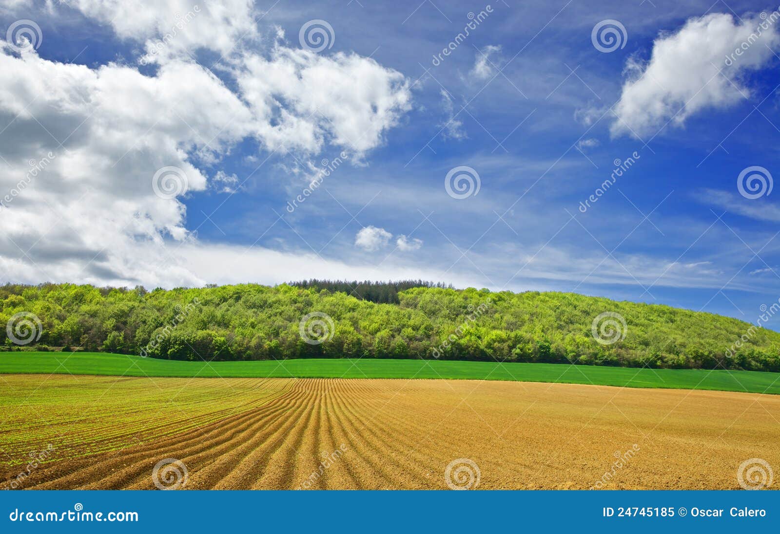 Forest,meadows and fields stock image. Image of plow - 24745185