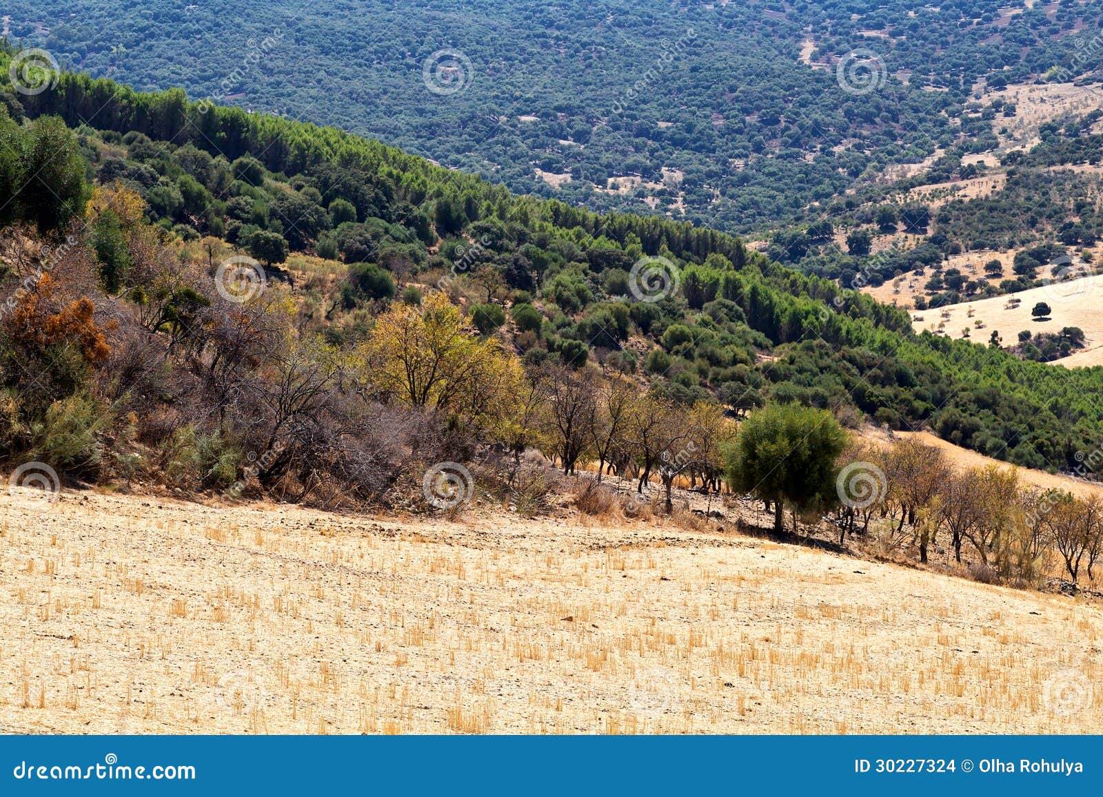Spanish Mountains Royalty-Free Stock Image | CartoonDealer.com #5175958