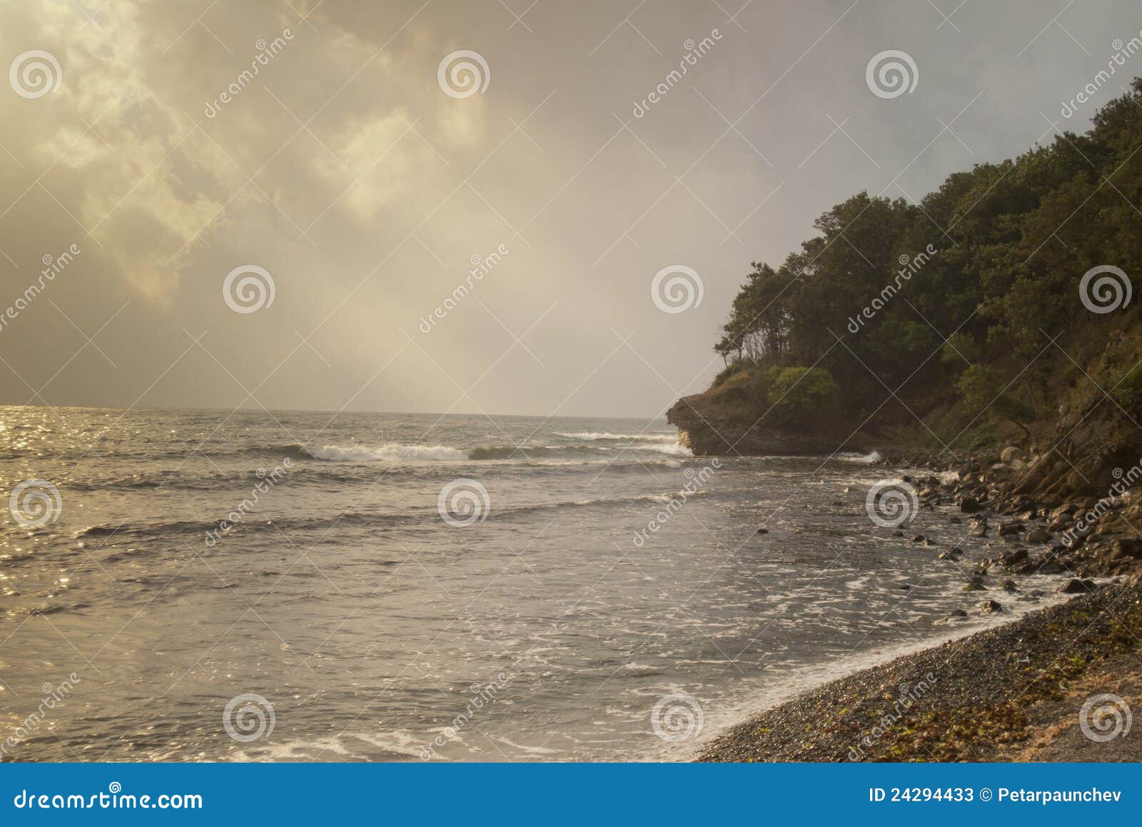 Forest meets sea stock image. Image of shimmer, beautiful - 24294433