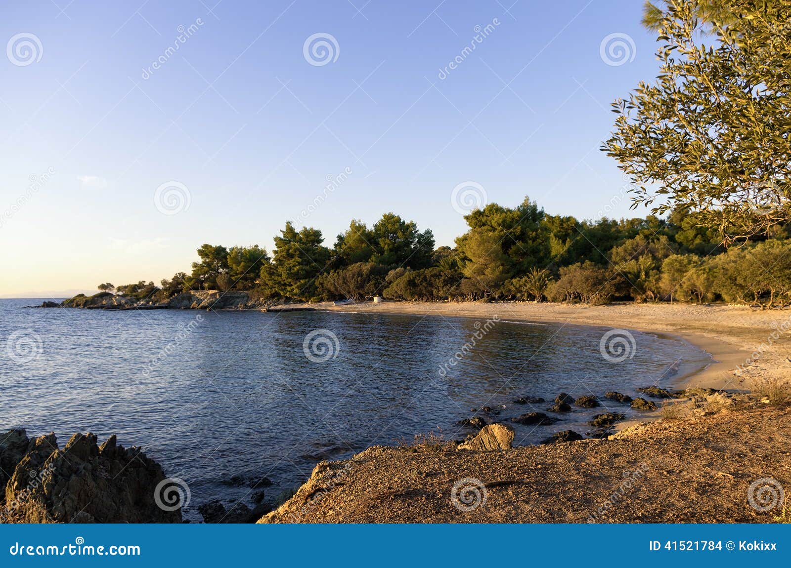 The Forest Meets the Sea in Chalkidiki, Greece Stock Photo - Image of ...