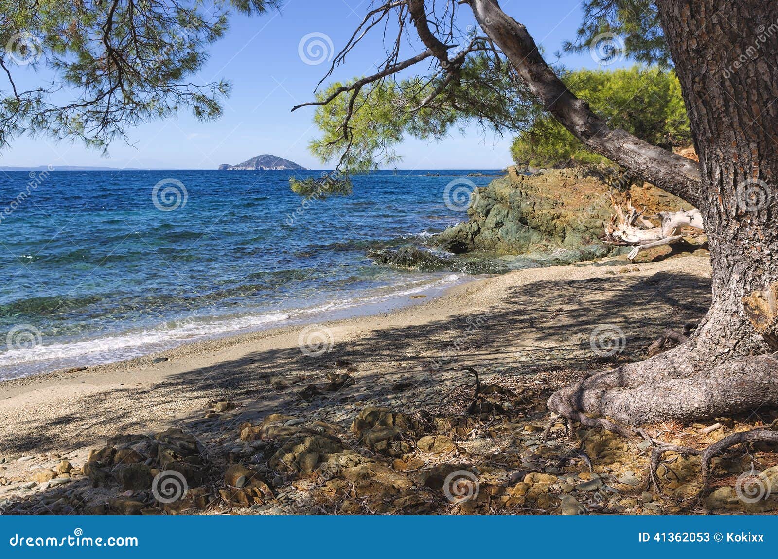The forest meets the sea stock image. Image of relax - 41362053