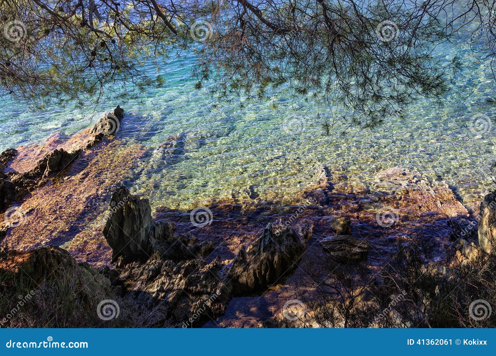 The forest meets the sea stock image. Image of aegean - 41362061