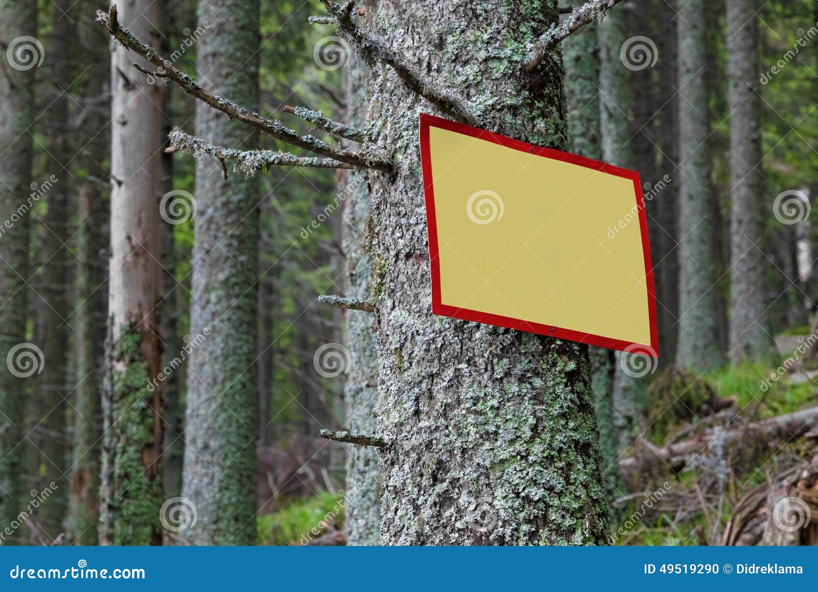 Forest metal sign stock photo. Image of outdoor, advertising - 49519290