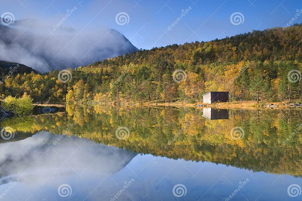 Forest mirrored at fall stock image. Image of calm, clods - 7219951