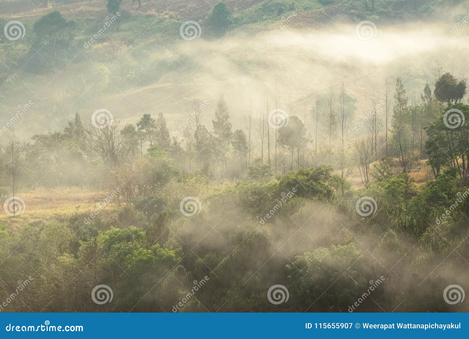 Mist on the Hill stock image. Image of hill, color, mountain - 115655907