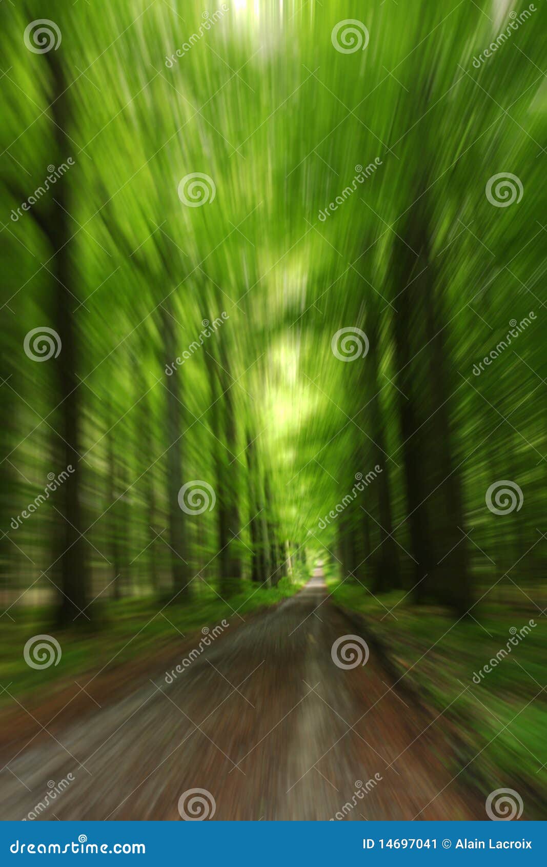 Forest motion stock image. Image of glow, dreamlike, earth - 14697041