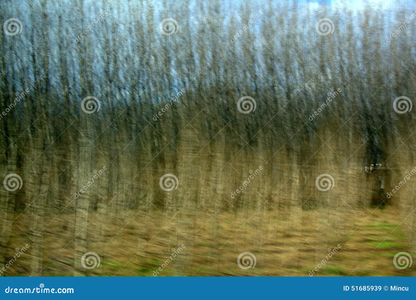Forest in motion stock image. Image of nature, texture - 51685939