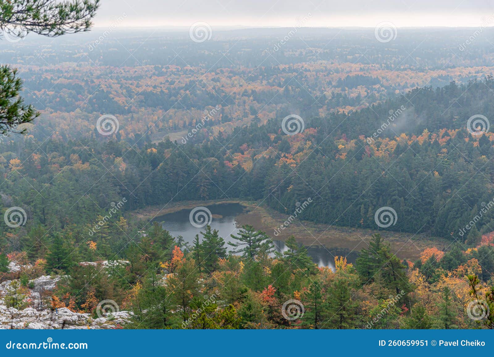 Forest and Mountain in Fall Time Stock Image - Image of stone, overcast ...