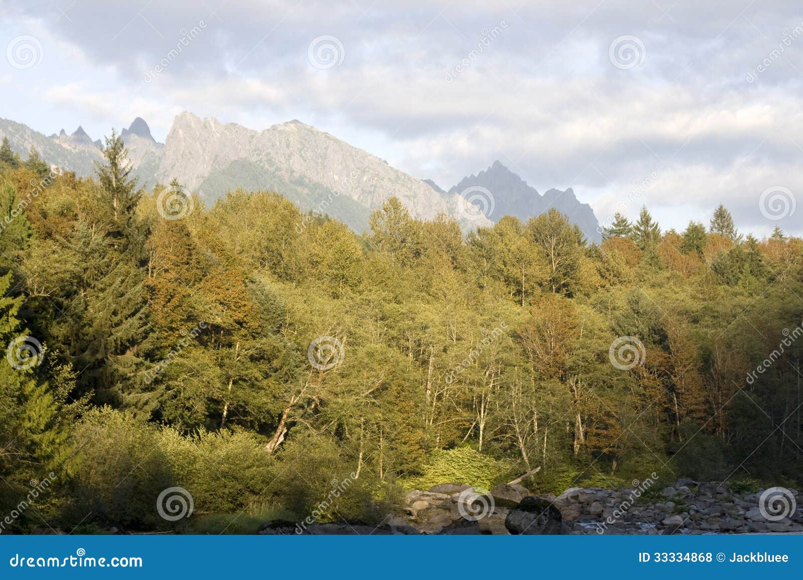 Forest and Mountain Landscape Stock Photo - Image of wildness, nice ...