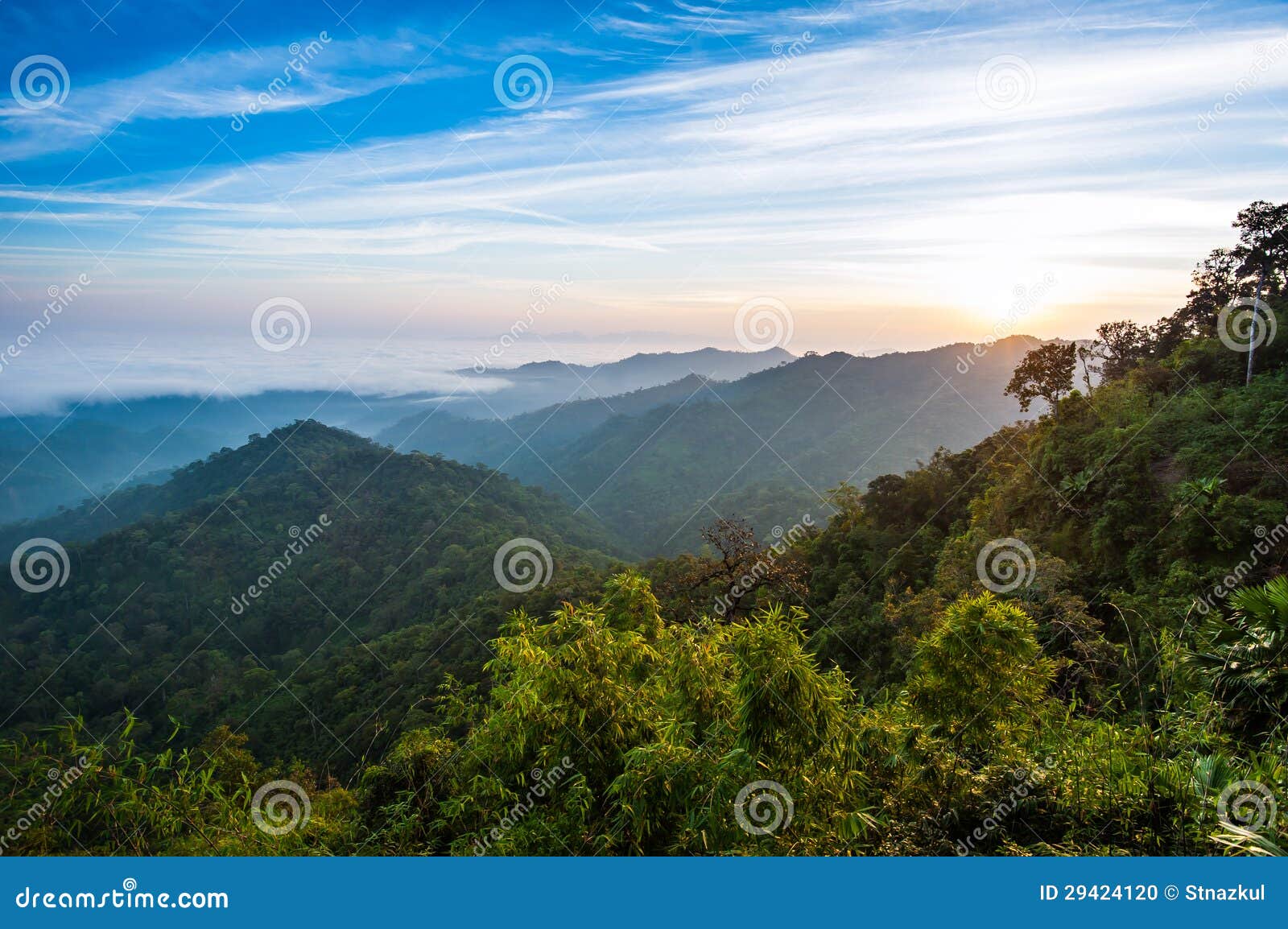 Forest Mountain Mist and the Sky Stock Photo - Image of lighted ...