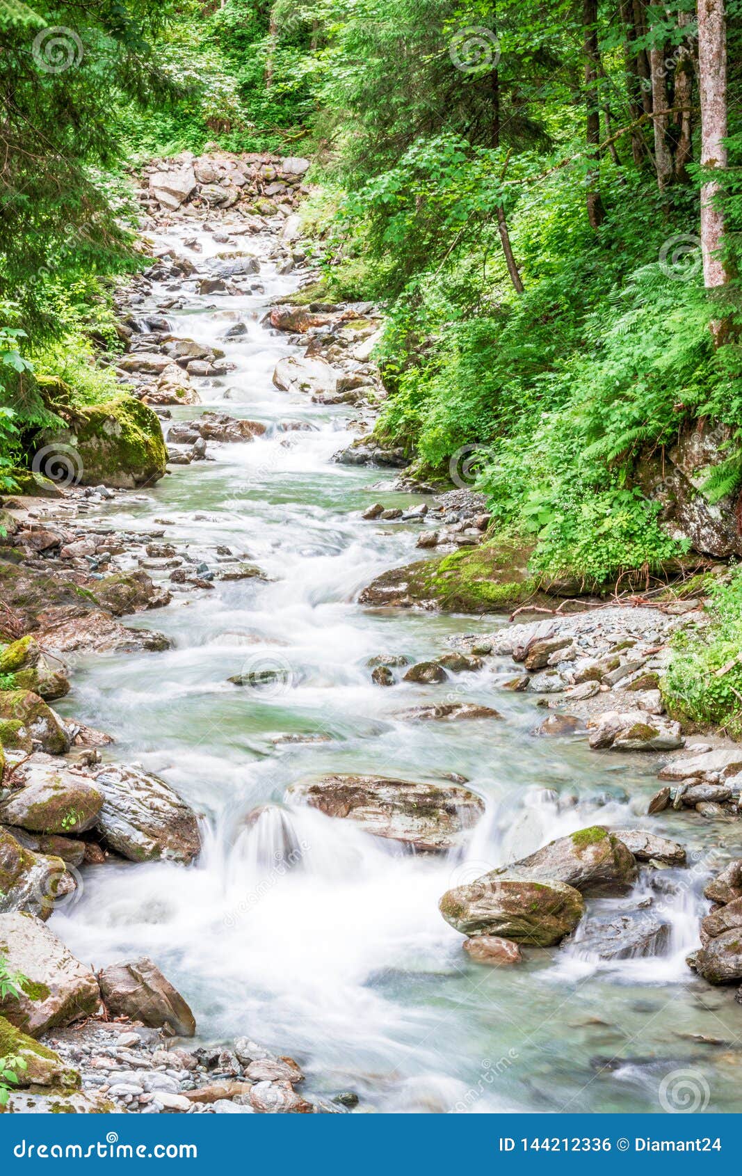 Forest Mountain River Running Over Rocks Stock Photo - Image of rain ...
