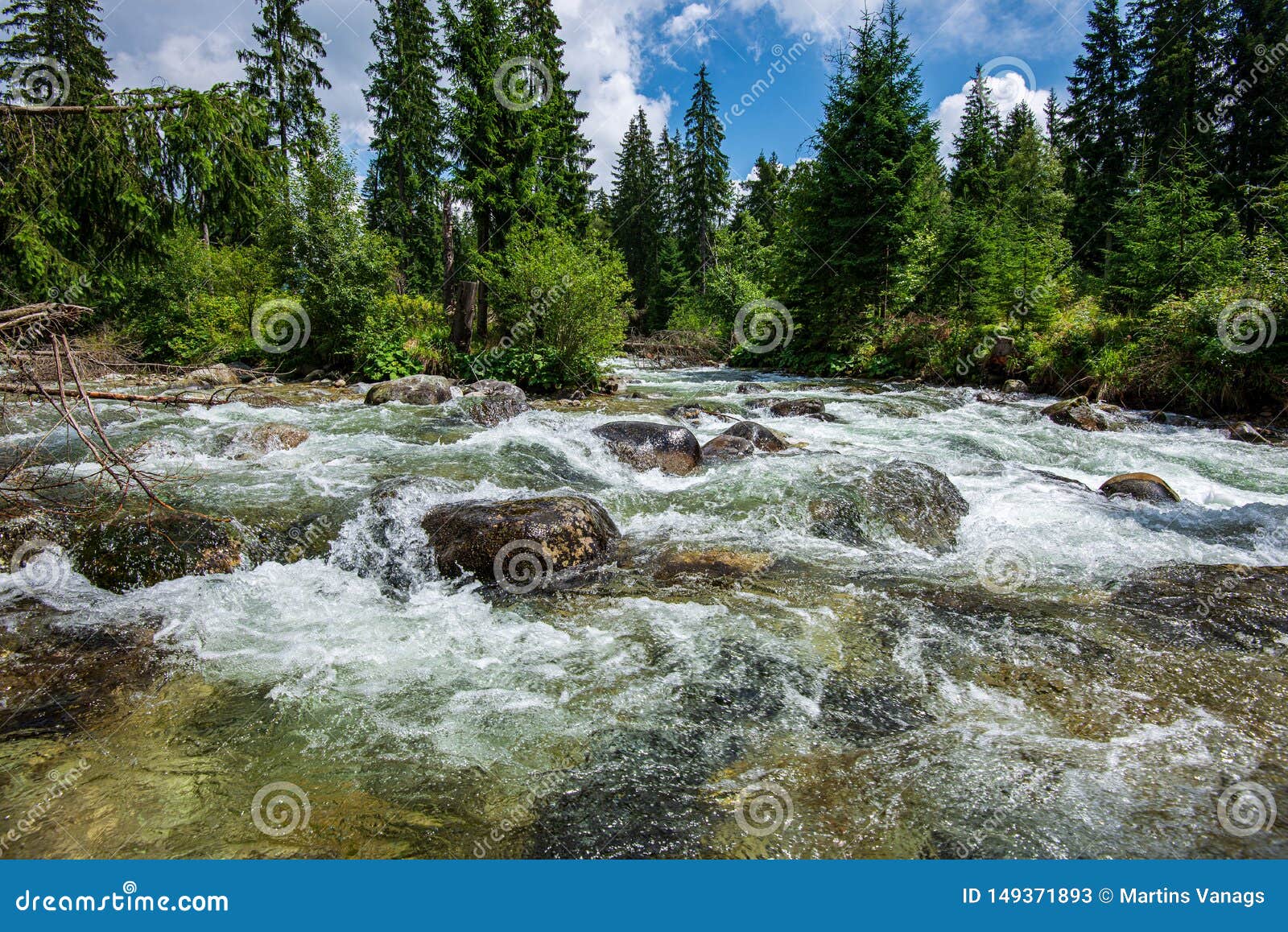 Forest Mountain River with Waterfall Over the Rocks Stock Image - Image ...