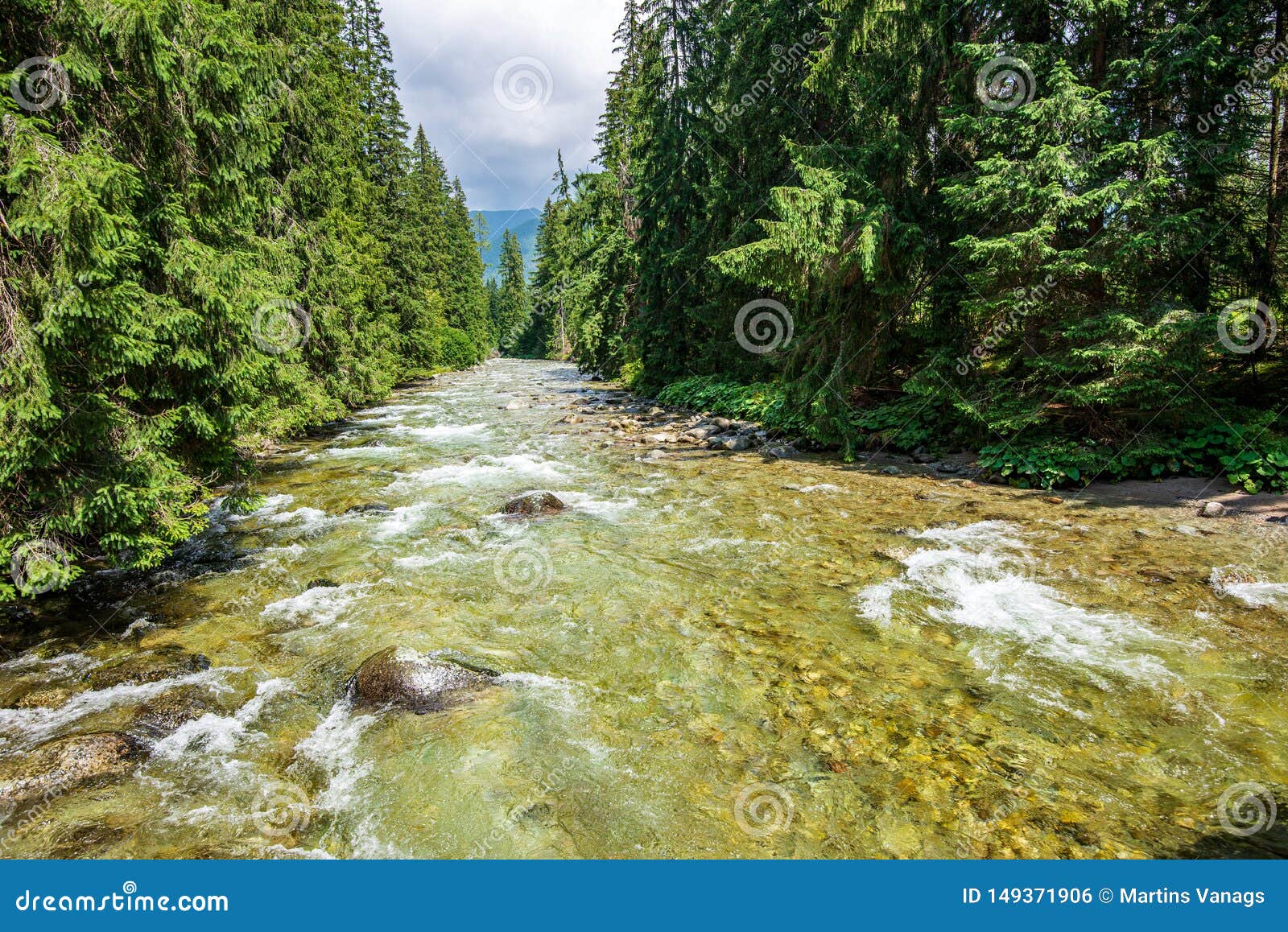 Forest Mountain River with Waterfall Over the Rocks Stock Photo - Image ...