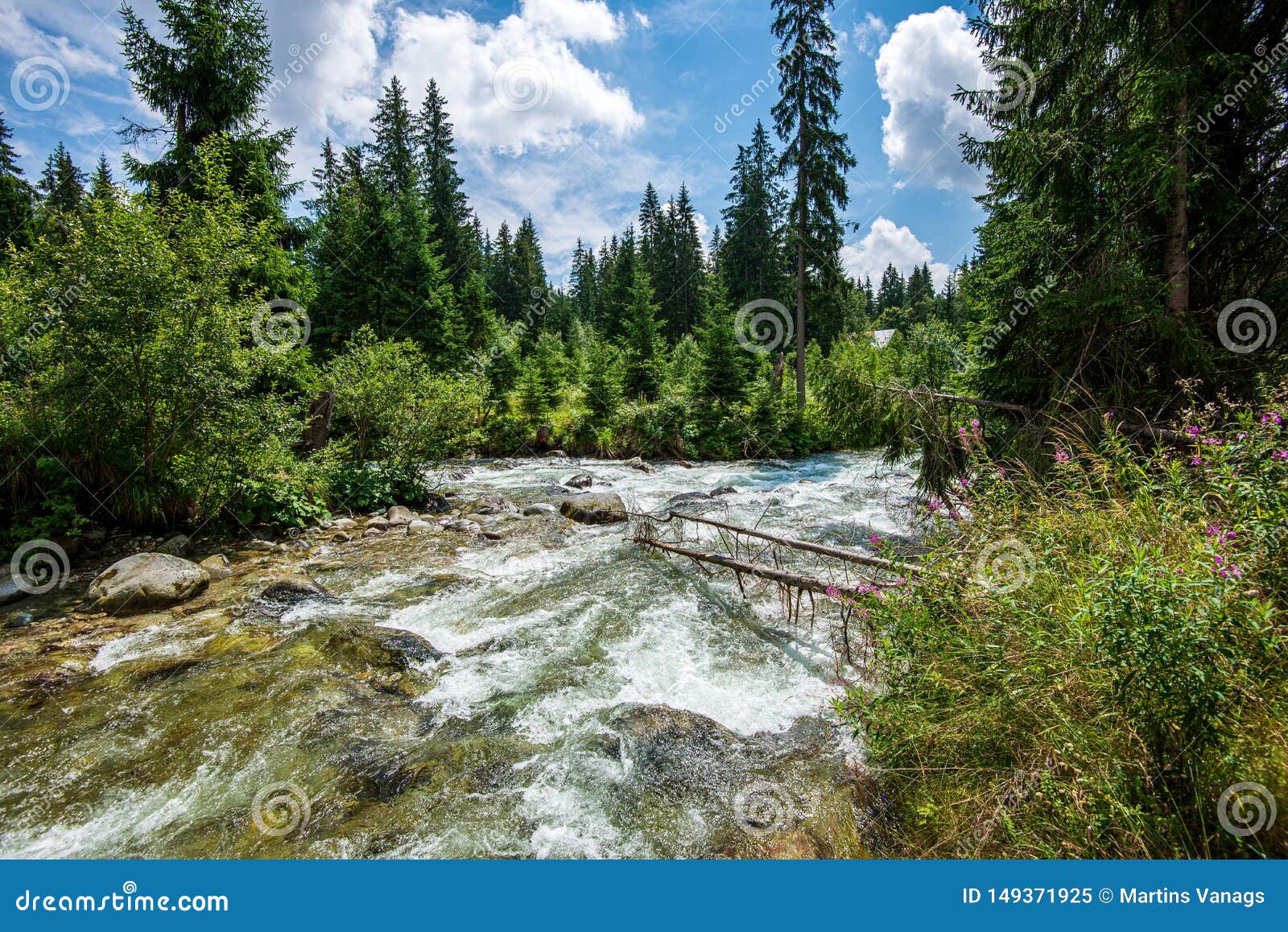 Forest Mountain River with Waterfall Over the Rocks Stock Image - Image ...