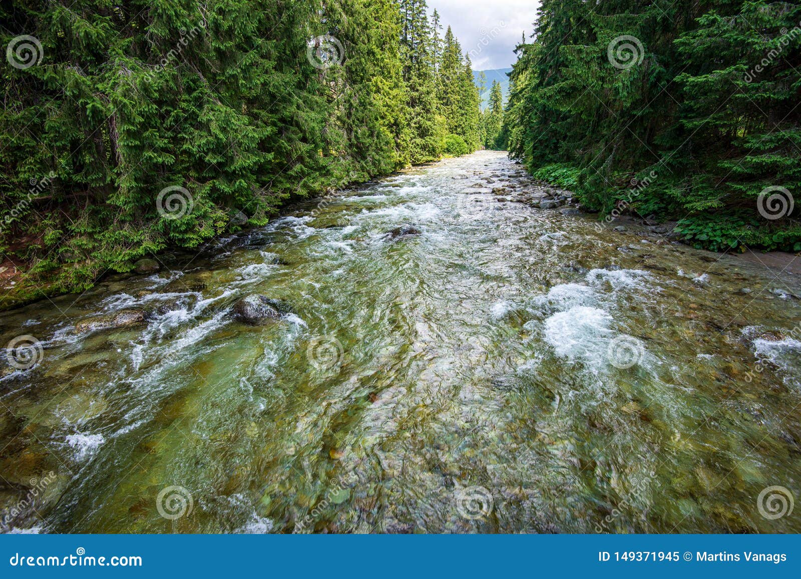 Forest Mountain River with Waterfall Over the Rocks Stock Image - Image ...