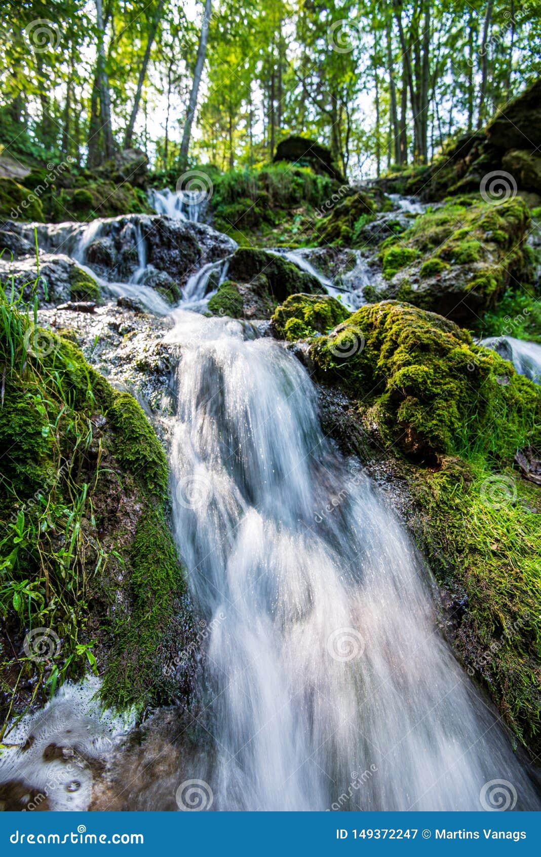 Forest Mountain River with Waterfall Over the Rocks Stock Image - Image ...