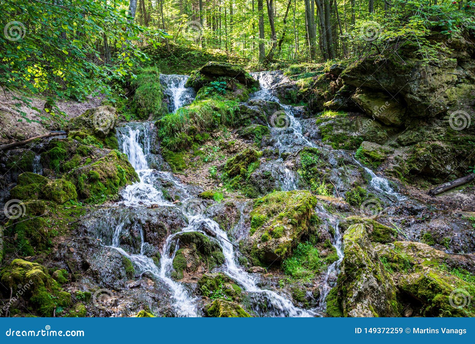 Forest Mountain River with Waterfall Over the Rocks Stock Image - Image ...