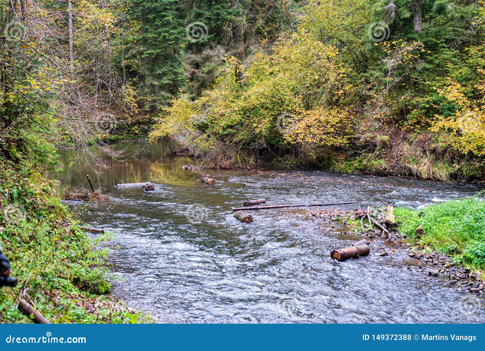 Forest Mountain River with Waterfall Over the Rocks Stock Photo - Image ...