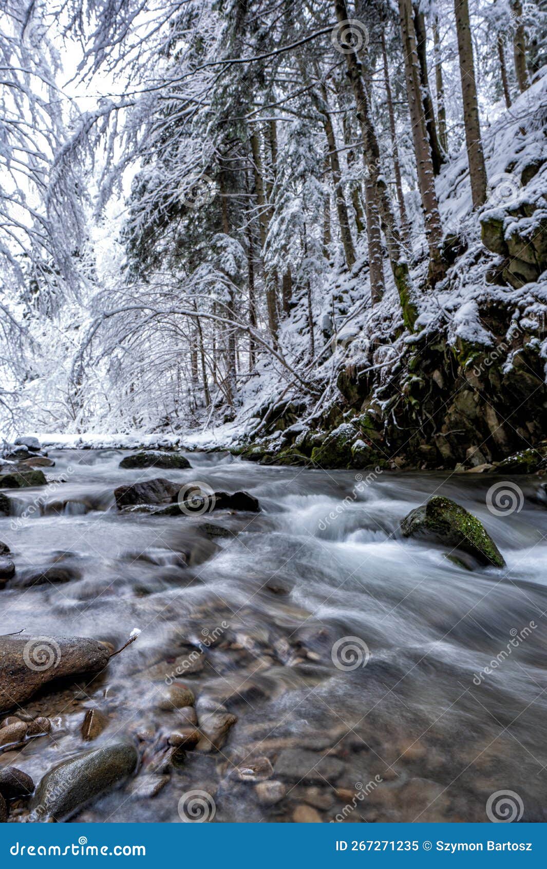 Forest Mountain Stream in Winter. Stock Image - Image of poland, hiking ...