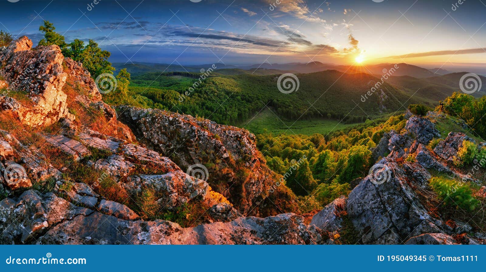 Forest and Mountain at Sunset - Landscape Panorama Stock Image - Image ...