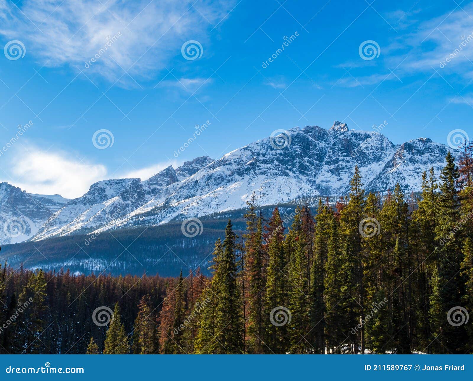 Forest and Mountain View in Alberta Stock Image - Image of outdoor ...