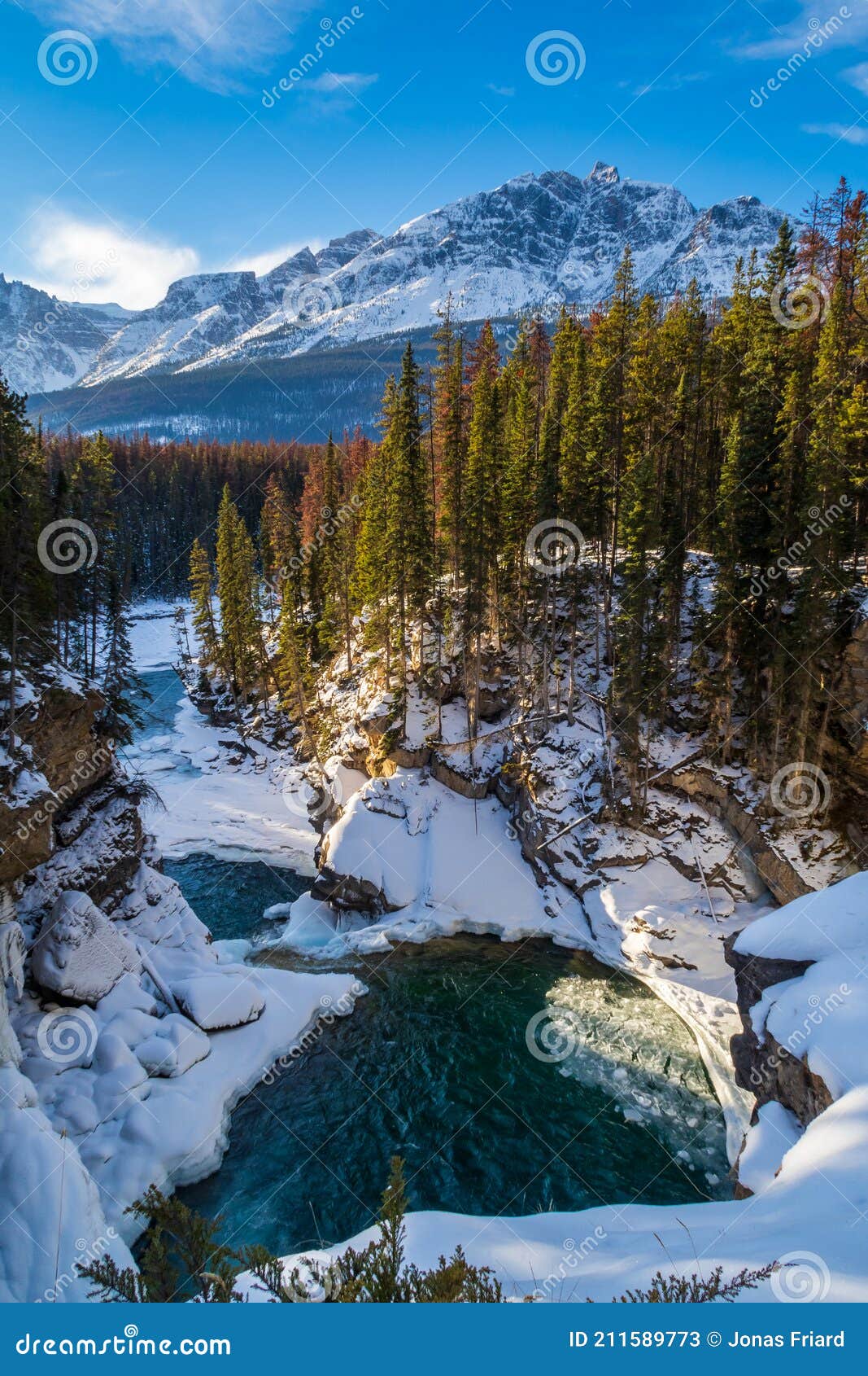 Forest and Mountain View in Alberta Stock Image - Image of outdoors ...