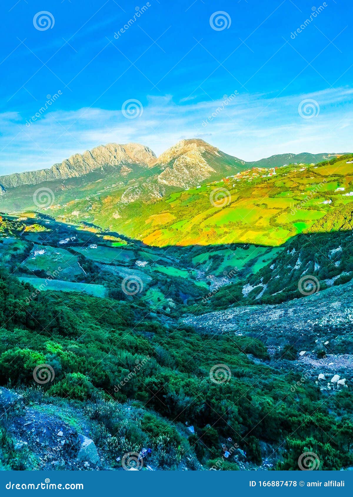 Forest mountain view stock photo. Image of forest, mountain - 166887478