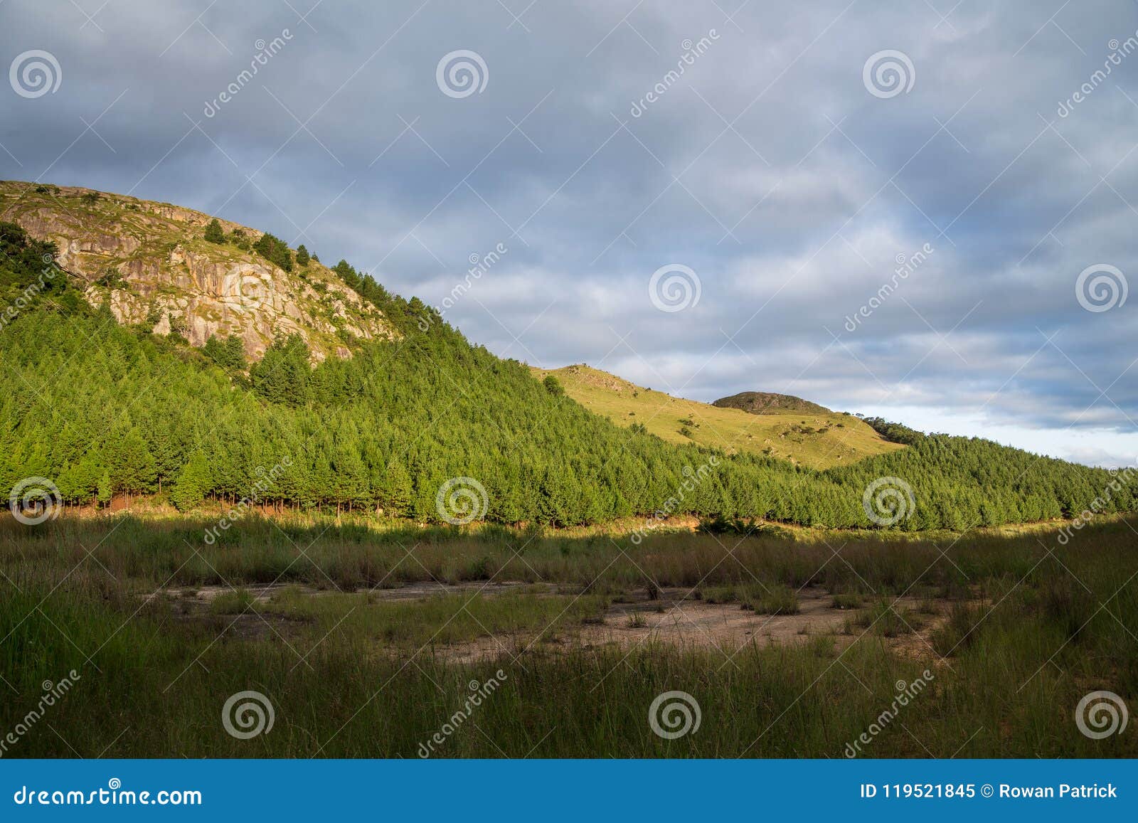 Forest Mountain View stock image. Image of destination - 119521845