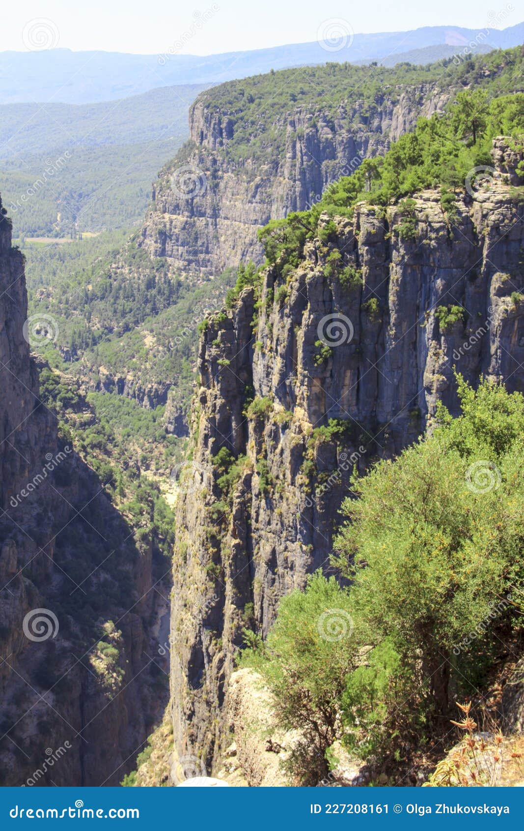Forest and Mountains in the Distance. Scenery Stock Image - Image of ...