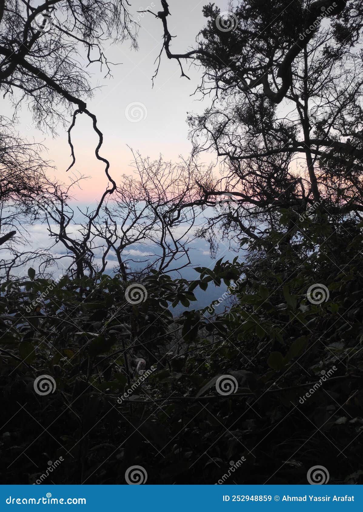 Forest Mountains Raung East Java Stock Image - Image of java, raung ...
