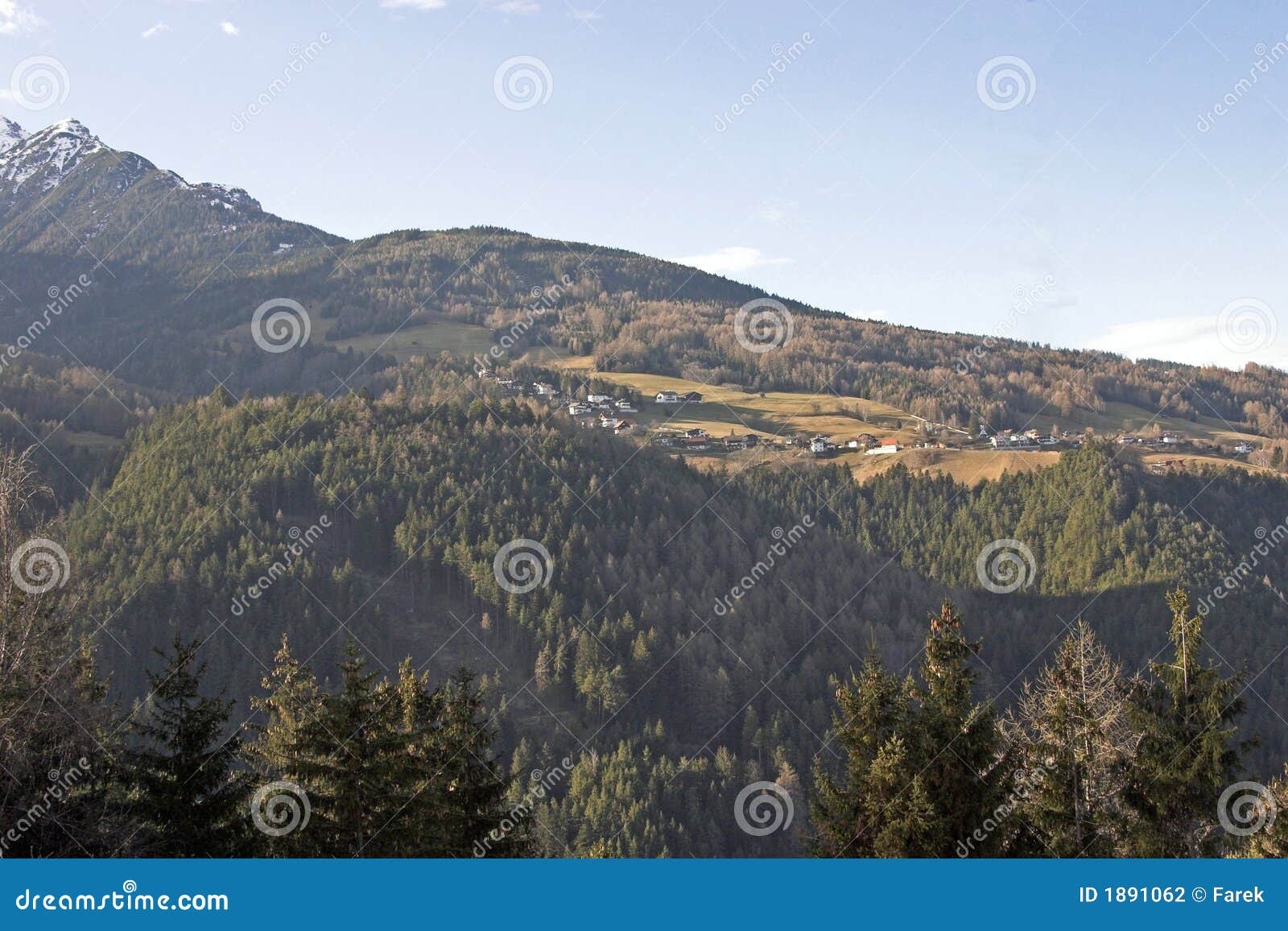 Forest on mountainside stock photo. Image of mountainside - 1891062