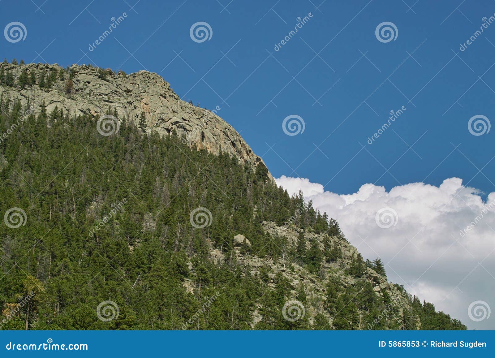 Forest on mountainside stock image. Image of rocky, cloudscape - 5865853