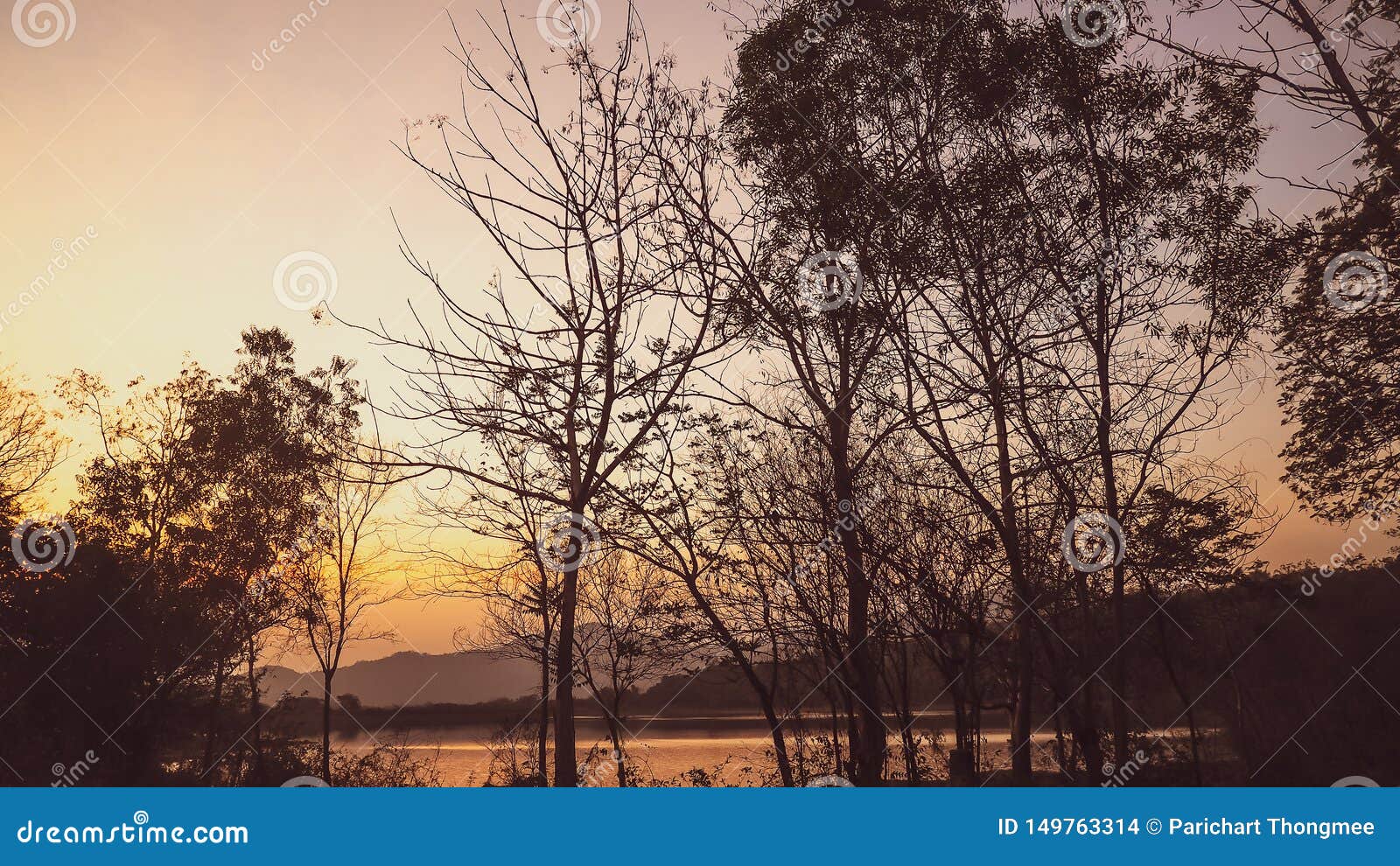Forest Nature. Landscape of Sunset Over River Orange Sky Stock Photo ...