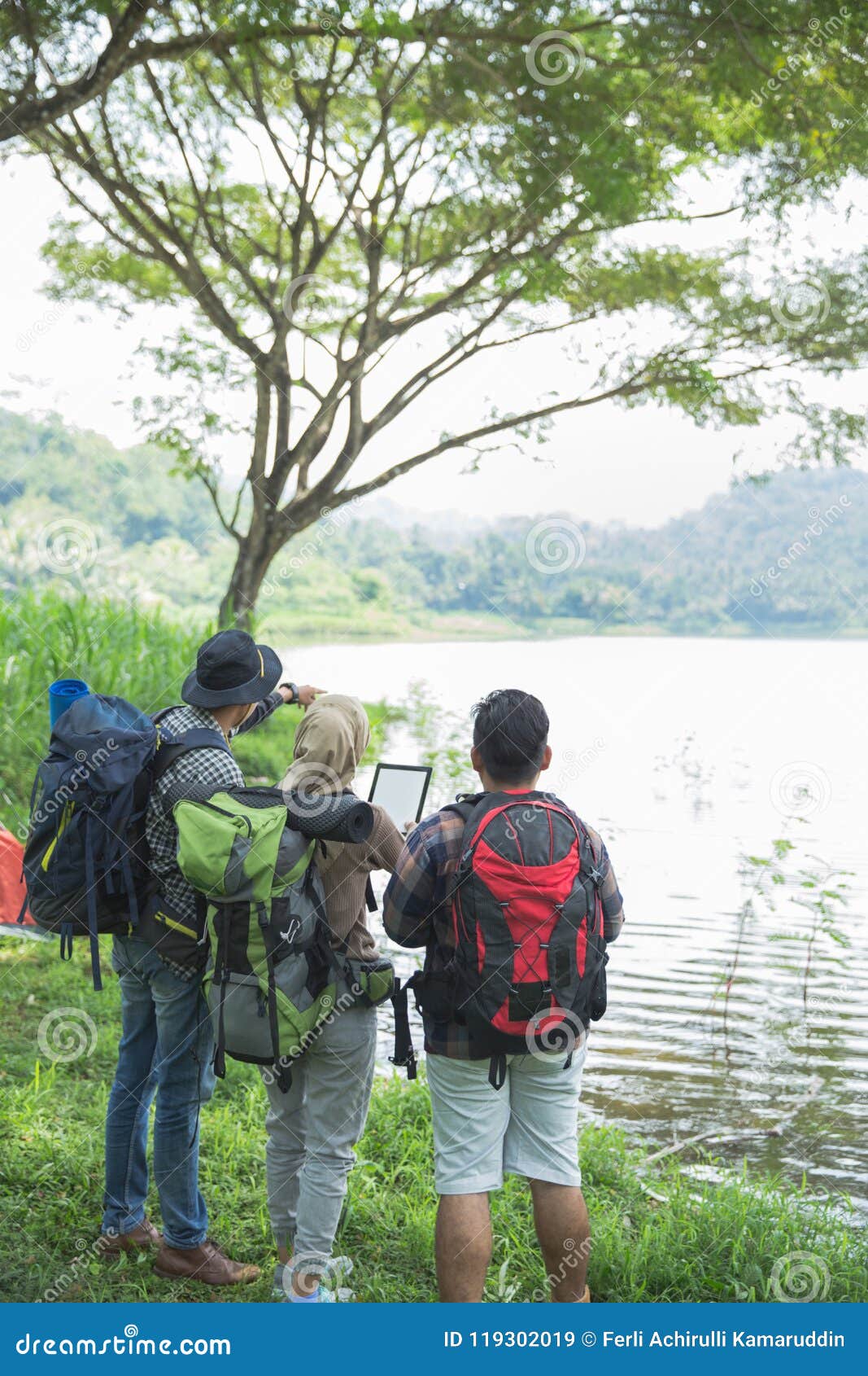 Forest Near Lake Using Tablet Pc Stock Image - Image of female, mobile ...