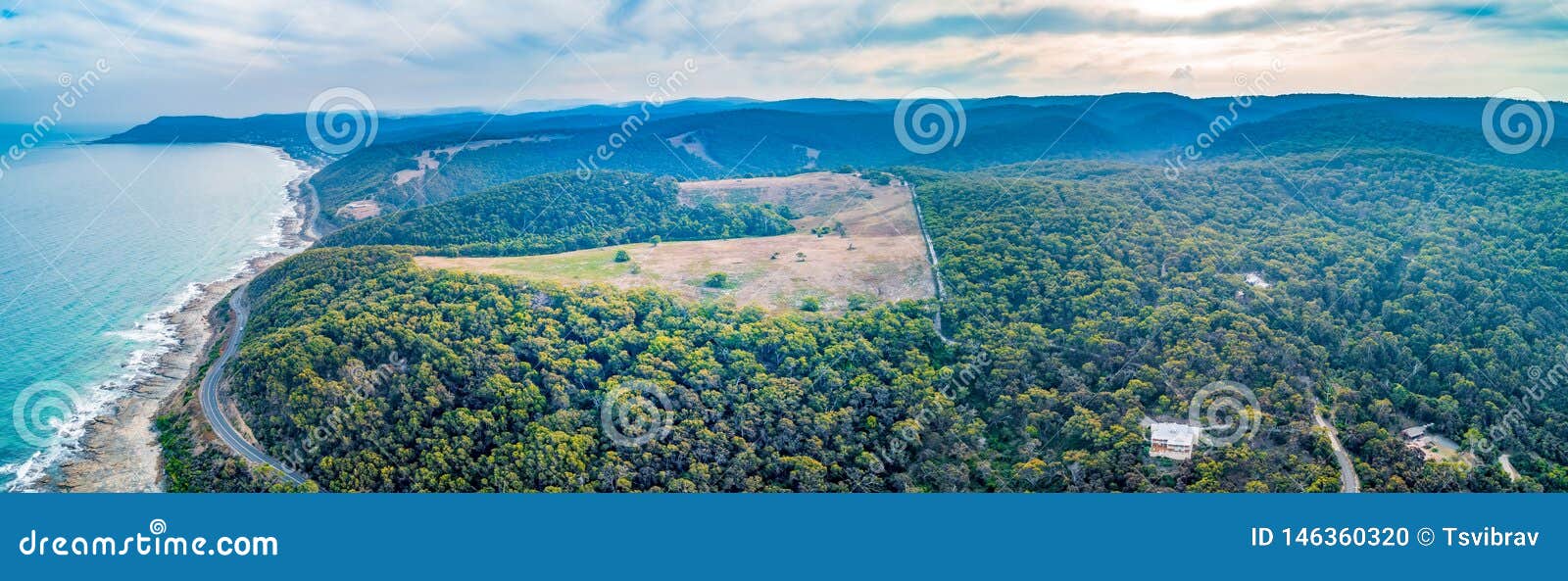 Forest near the Ocean. stock photo. Image of locations - 146360320