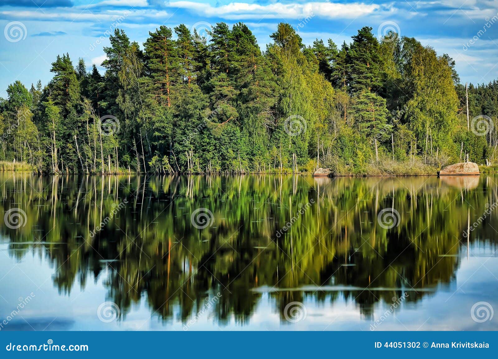 Forest near the water stock photo. Image of flowing, forest - 44051302