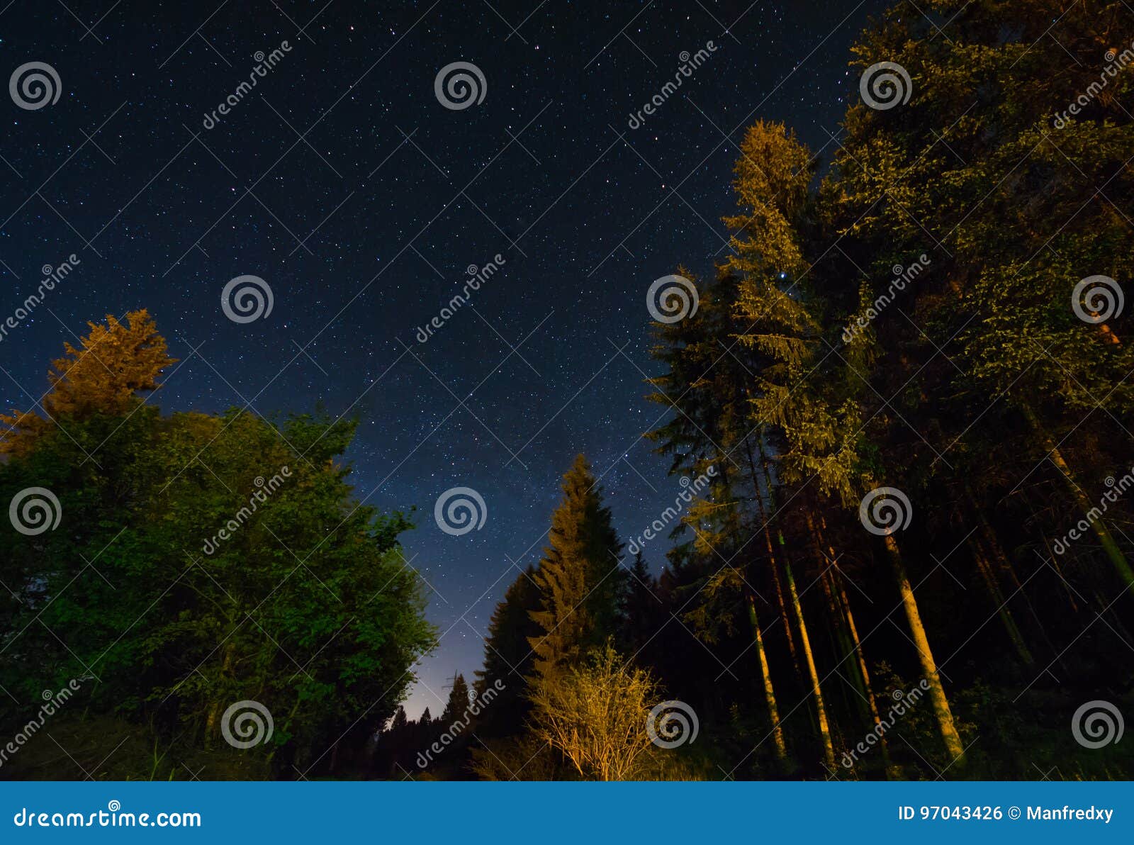 Night Sky Forest Background With Moon And Stars. Full Moon. Royalty ...