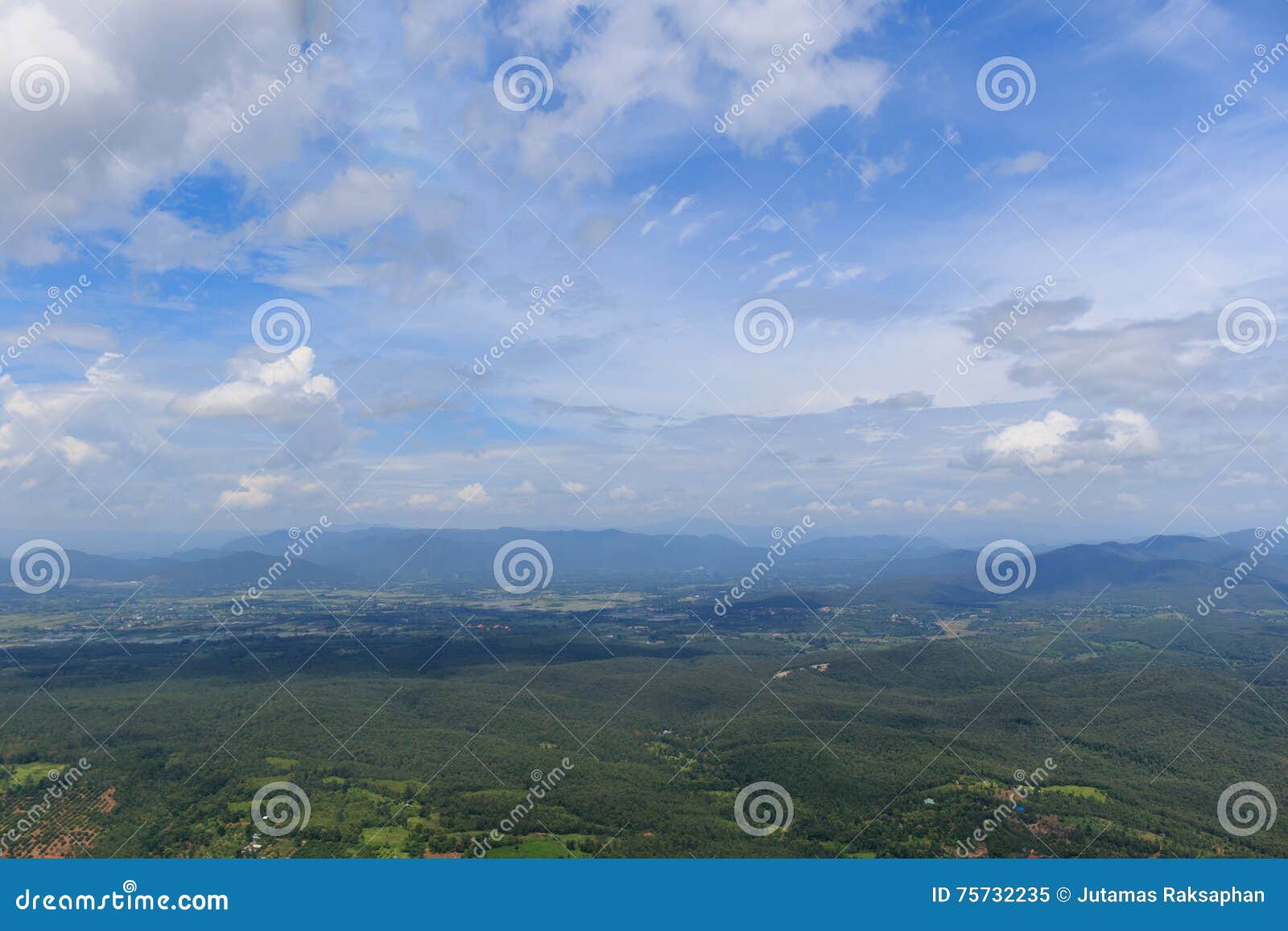 Forest in the Northern Provinces of Thailand Stock Image - Image of ...
