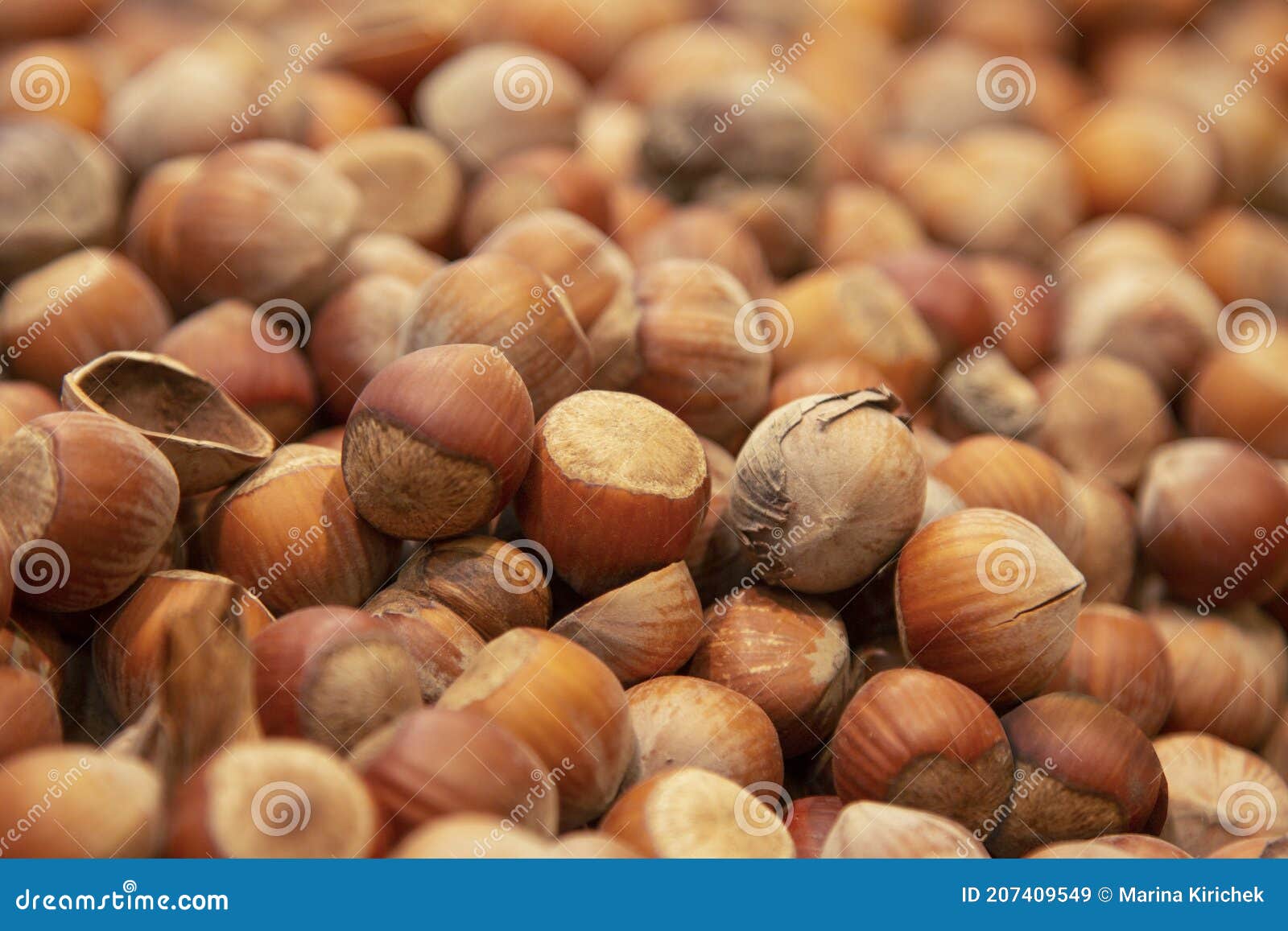 Hazelnut White Background Isolated Half Crumbs Closeup Macro Stock ...