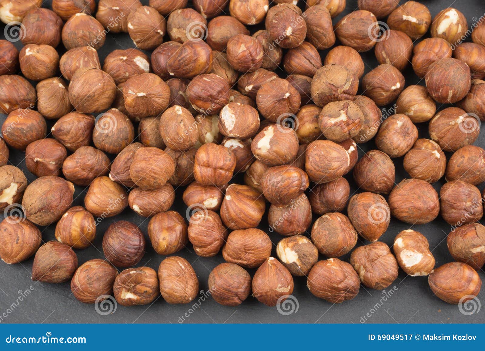 Forest nuts stock image. Image of background, nuts, season - 69049517