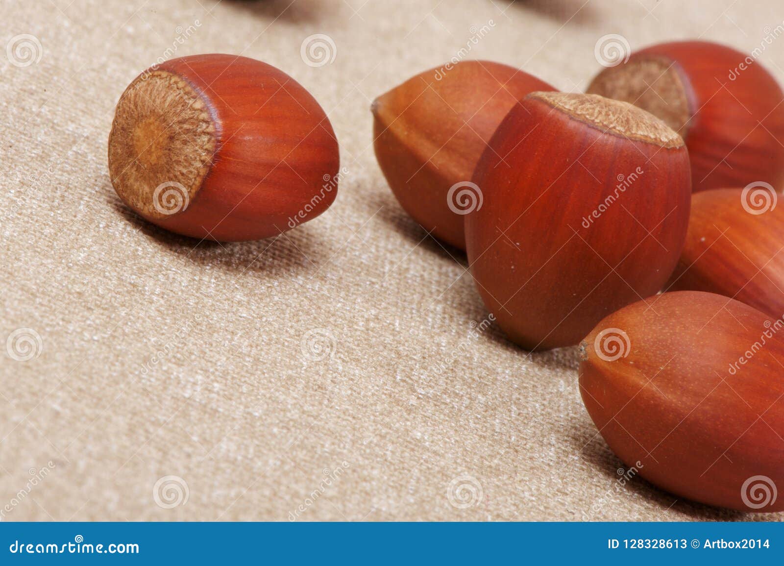 Forest nuts on burlap stock image. Image of nourishment - 128328613