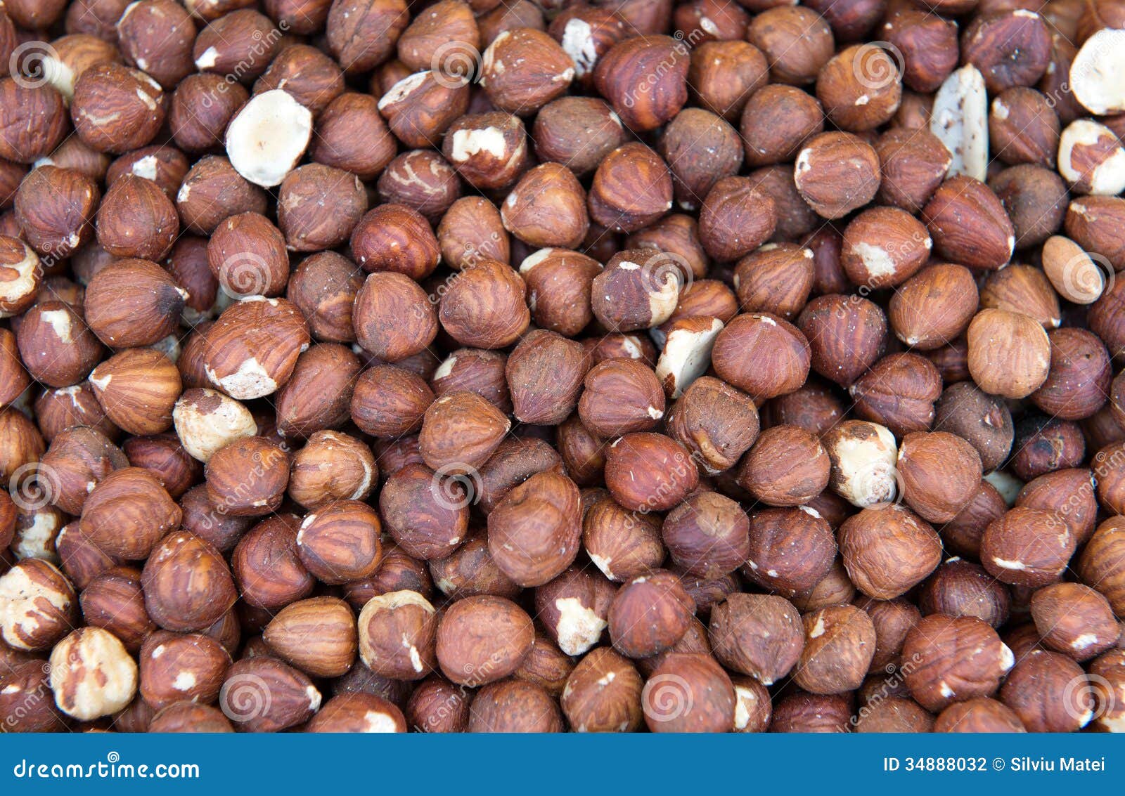 Forest nuts stock photo. Image of delicious, food, vegetarian - 34888032